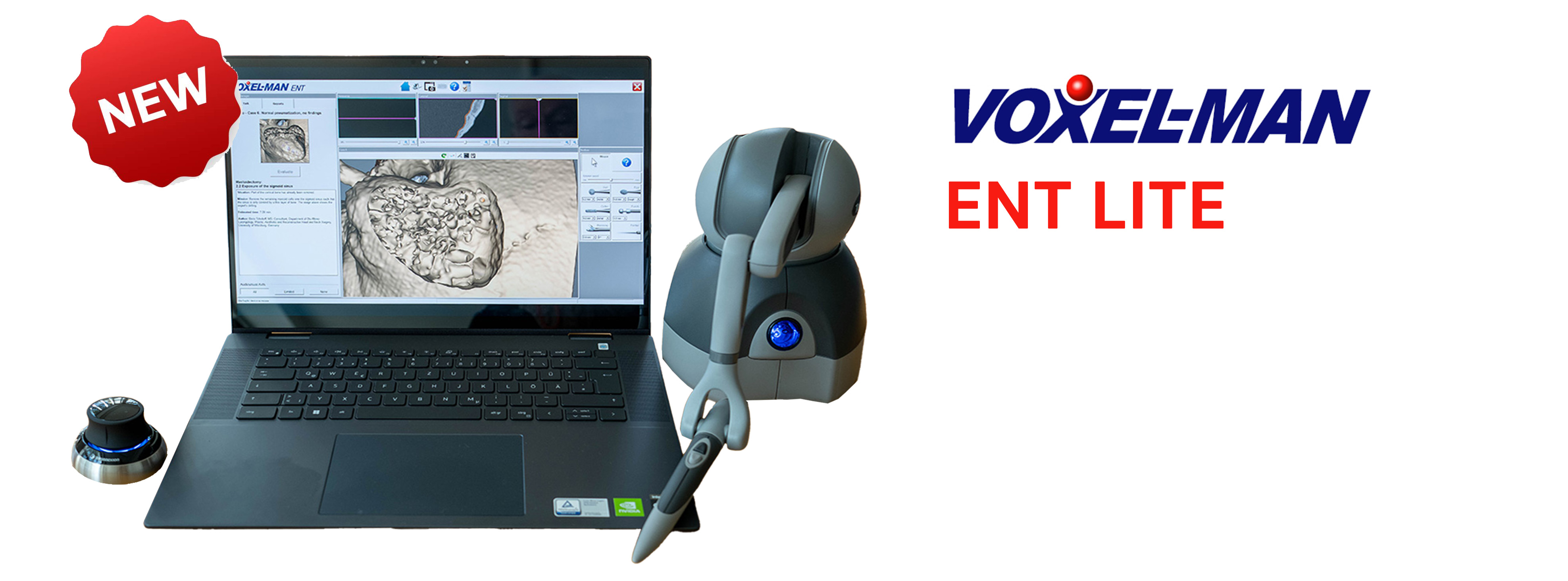 ENT Simulation - Voxel-Man - Delta Surgical